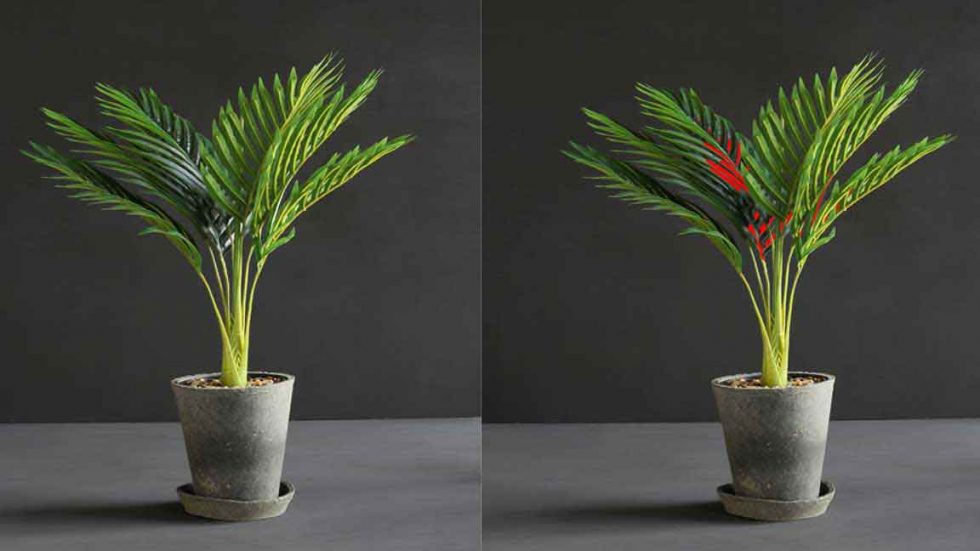 How To Fix Clipping Photography | Clipping Photo Experts